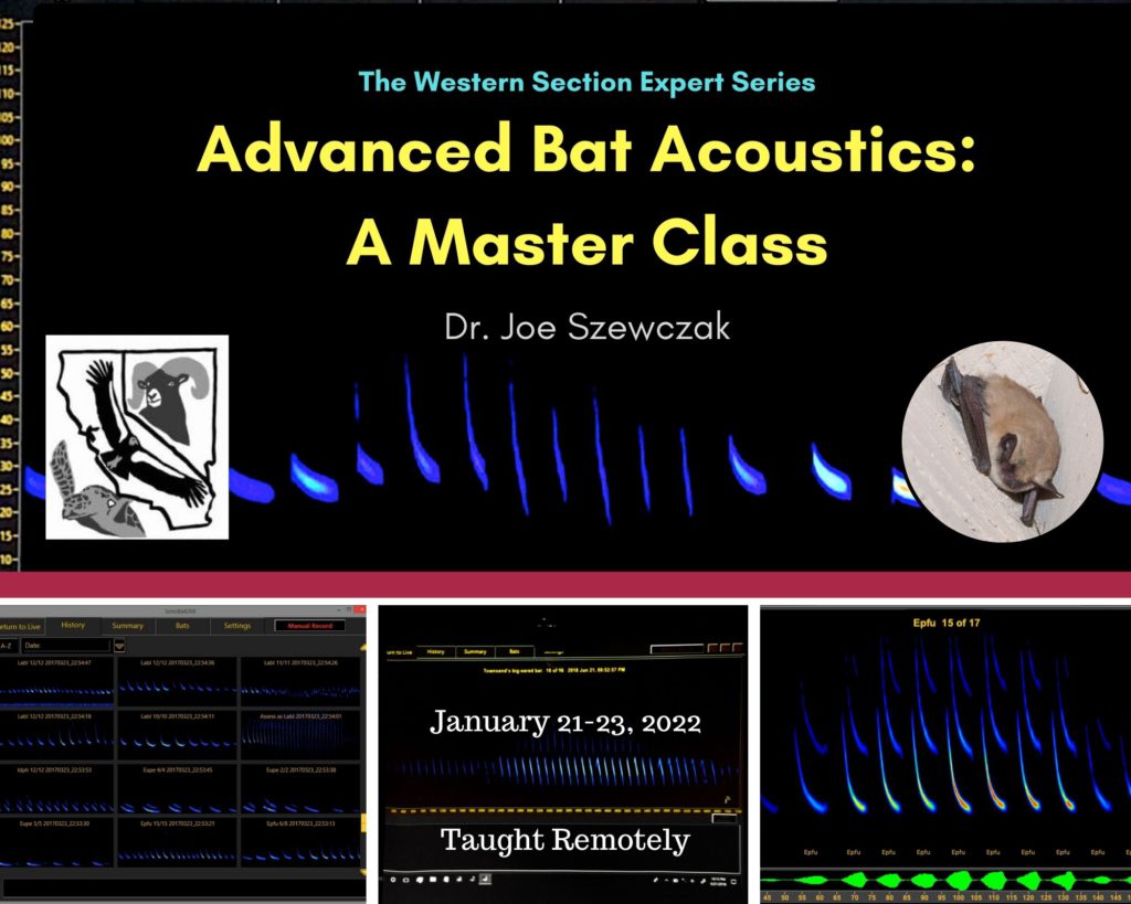 Advanced Bat Acoustics: A Master Class – The Western Section of the ...